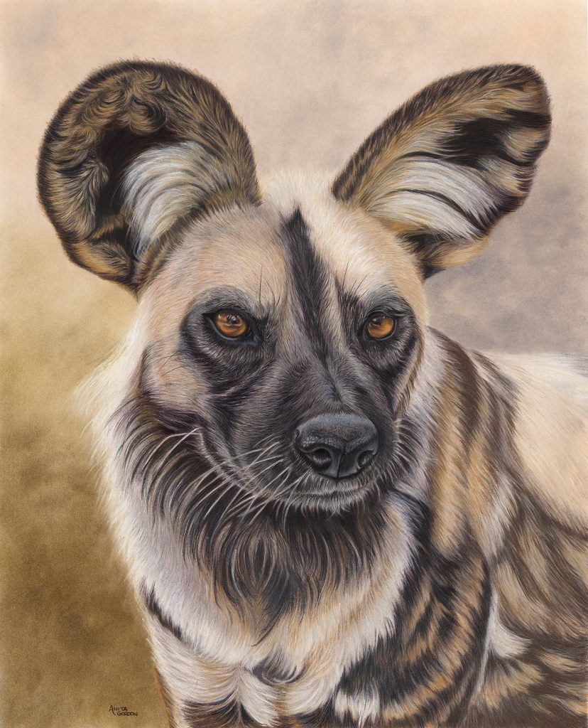 Anita Gordon – A Wild Soul – The Drawing Guild